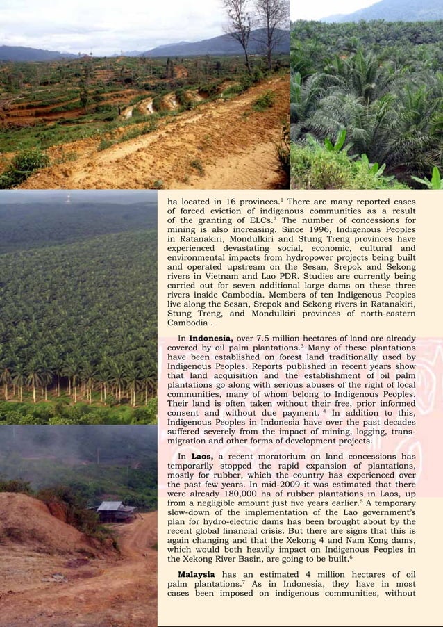 Asean's indigenous peoples | PDF | Political Issues & policy | Politics