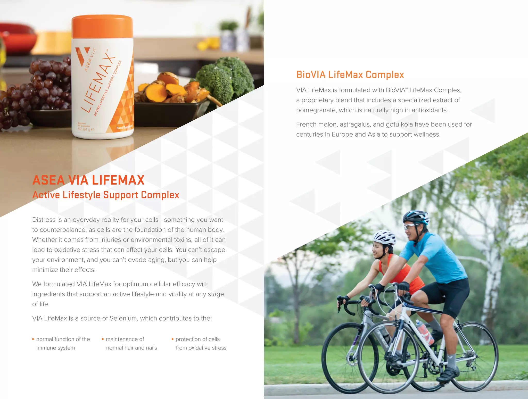 Asea Via Brochure | PDF