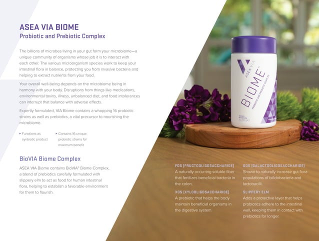 Asea Via Brochure | PDF