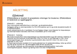 Ase birgitte skjaerli | PPTX