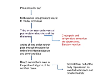 Asecending tract (Revision) by Dr.Rabia Inam Gandapore.ppt