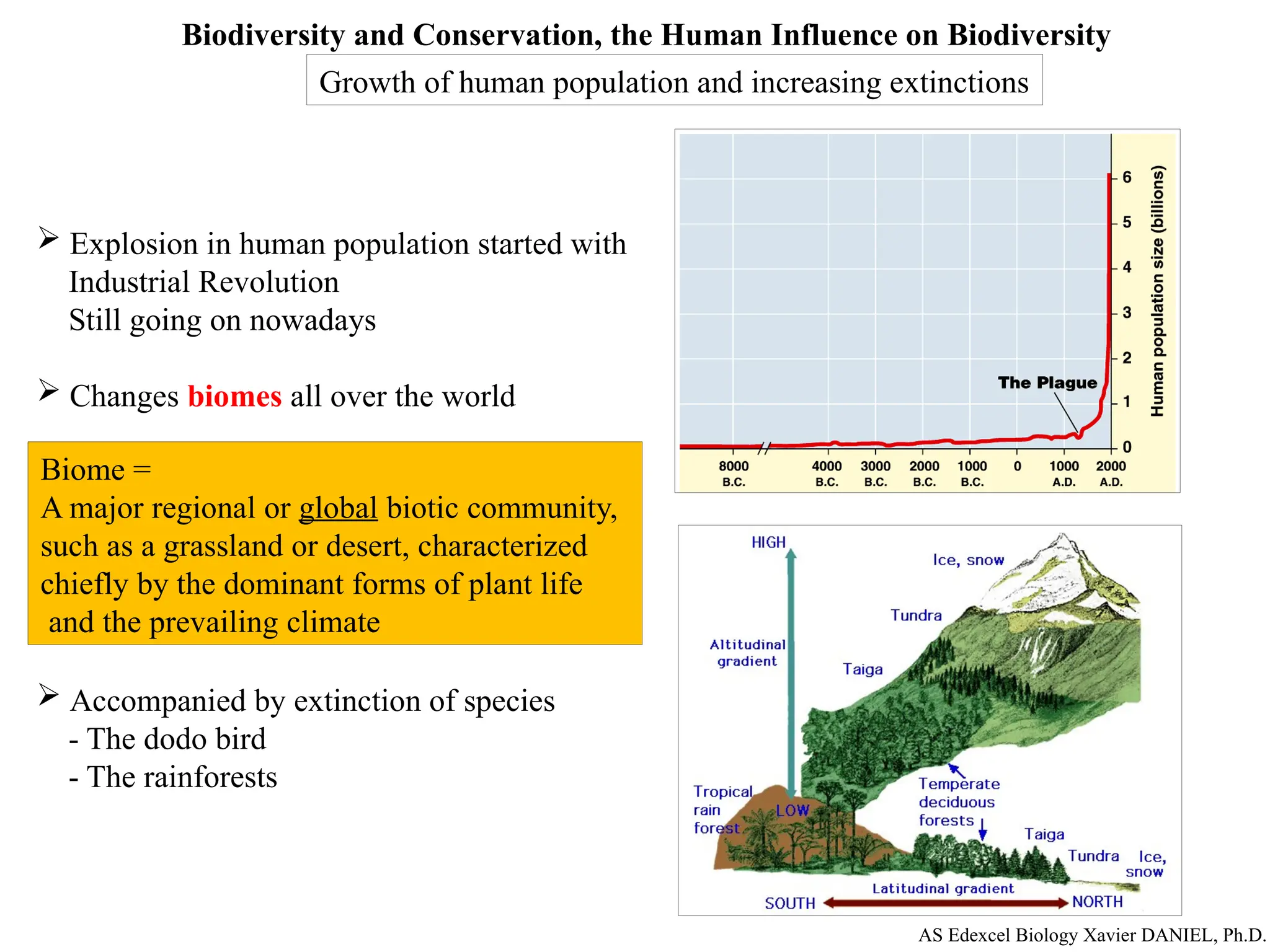 AS_Edexcel_Biology_Session_2_14_Biodiver.pptx