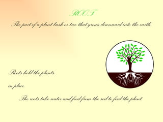 A seedy story poem | PPT | Gardening | Home & Garden