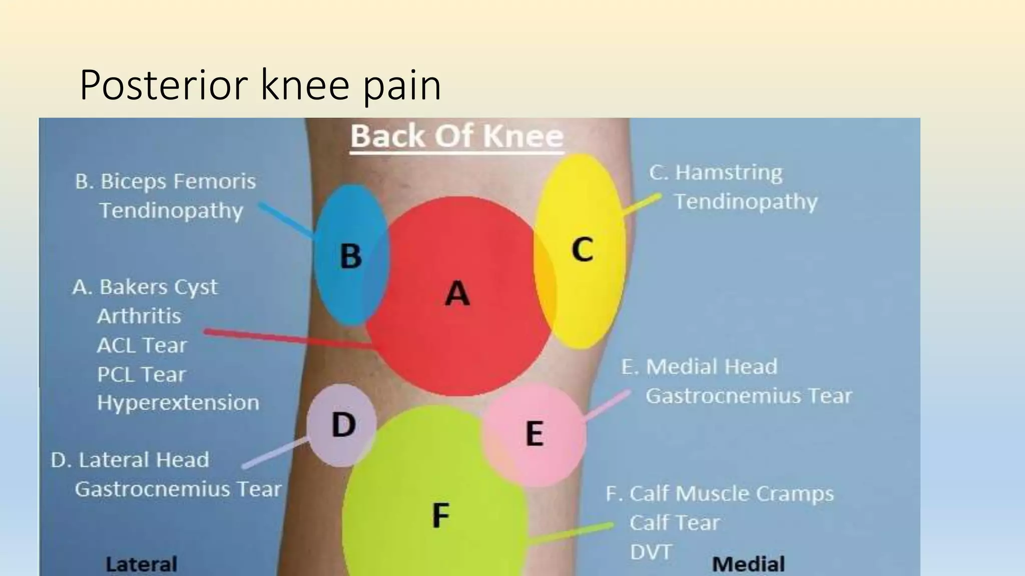 Knee joint assessment | PPTX