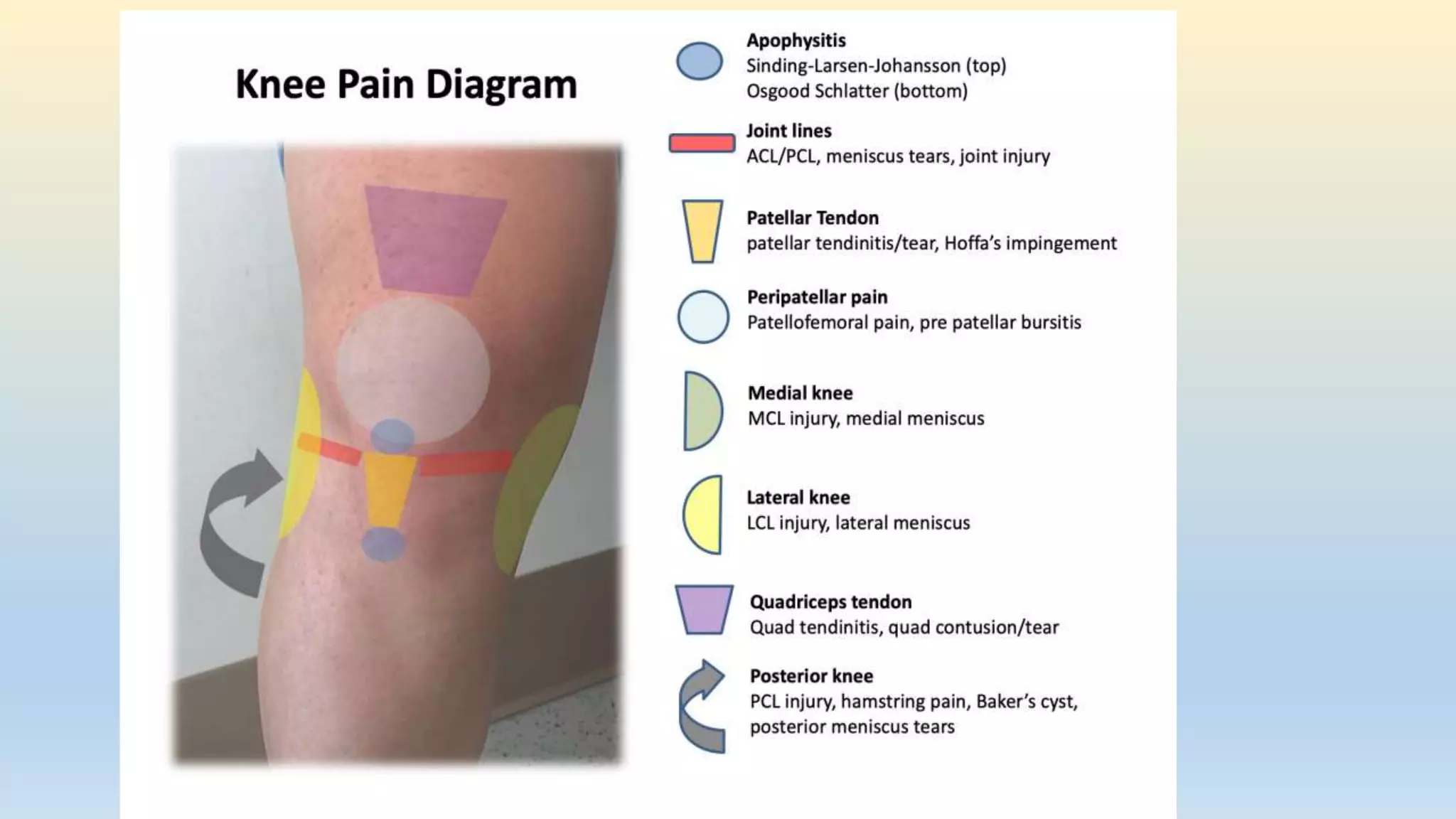 Knee joint assessment | PPTX
