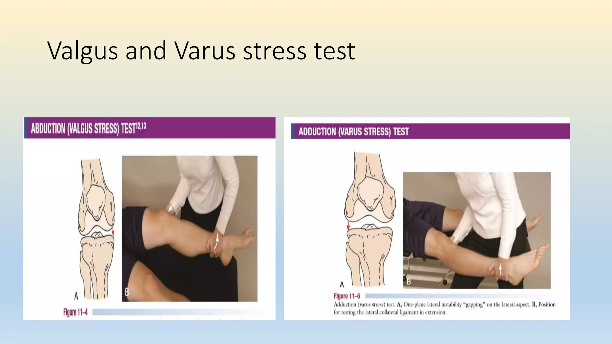 Knee joint assessment | PPTX
