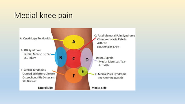 Knee joint assessment | PPTX
