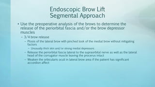 A segmental approach to browlift | PPT