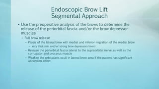 A segmental approach to browlift | PPT