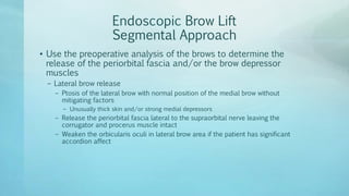 A segmental approach to browlift | PPT