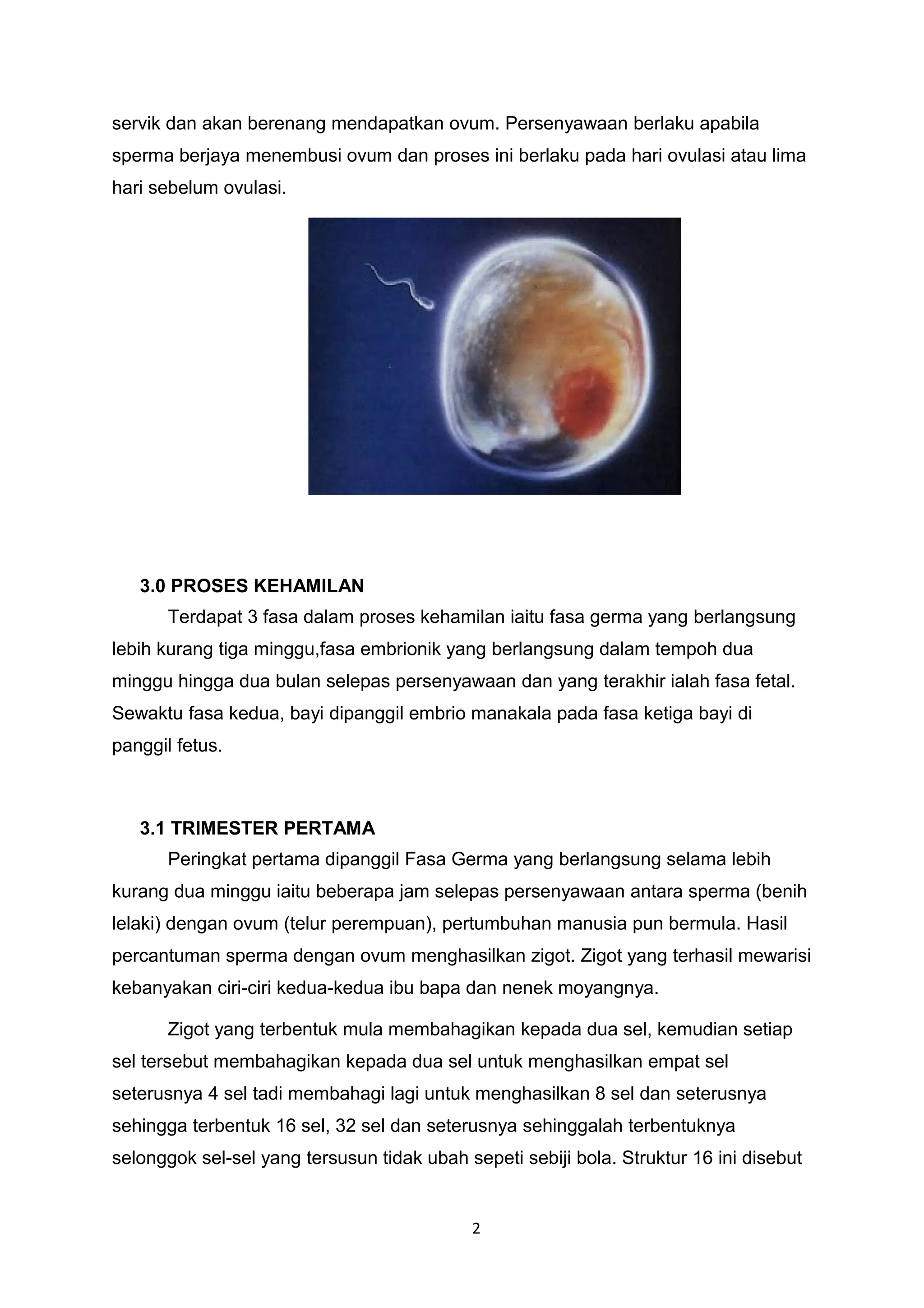 proses persenyawaan sem3 | DOC