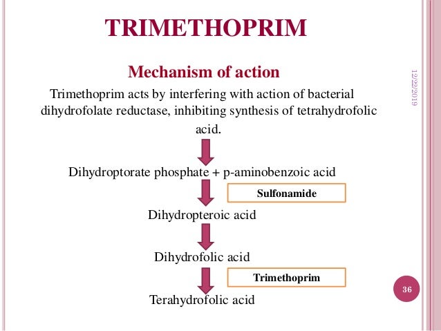 A seminar on Antimalarial Agent-By Mr.Bhavesh Amrute(M.Pharm-Pharmace…