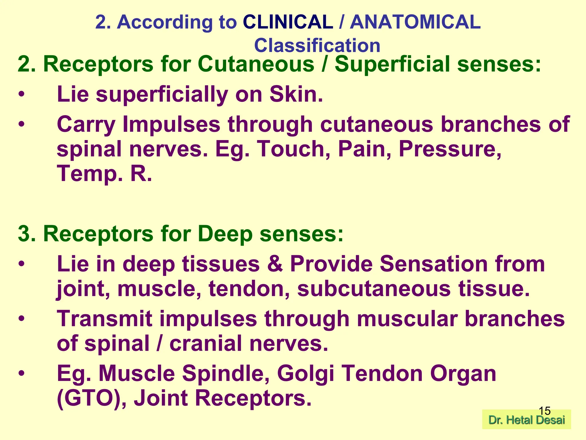 SENSORY RECEPTORS. Physiology , 1st year mbbs/bhms/etc | PDF