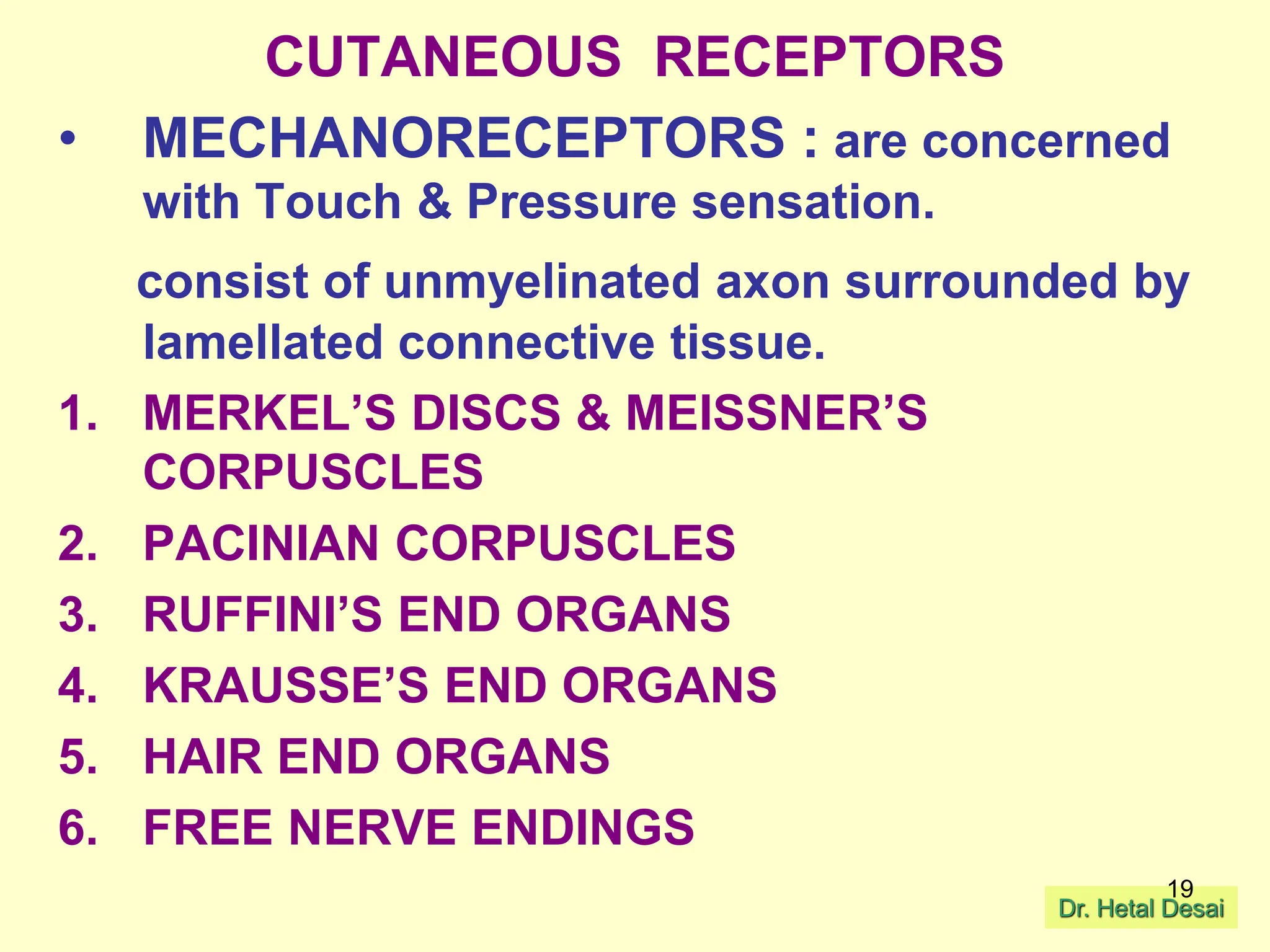 SENSORY RECEPTORS. Physiology , 1st year mbbs/bhms/etc | PDF