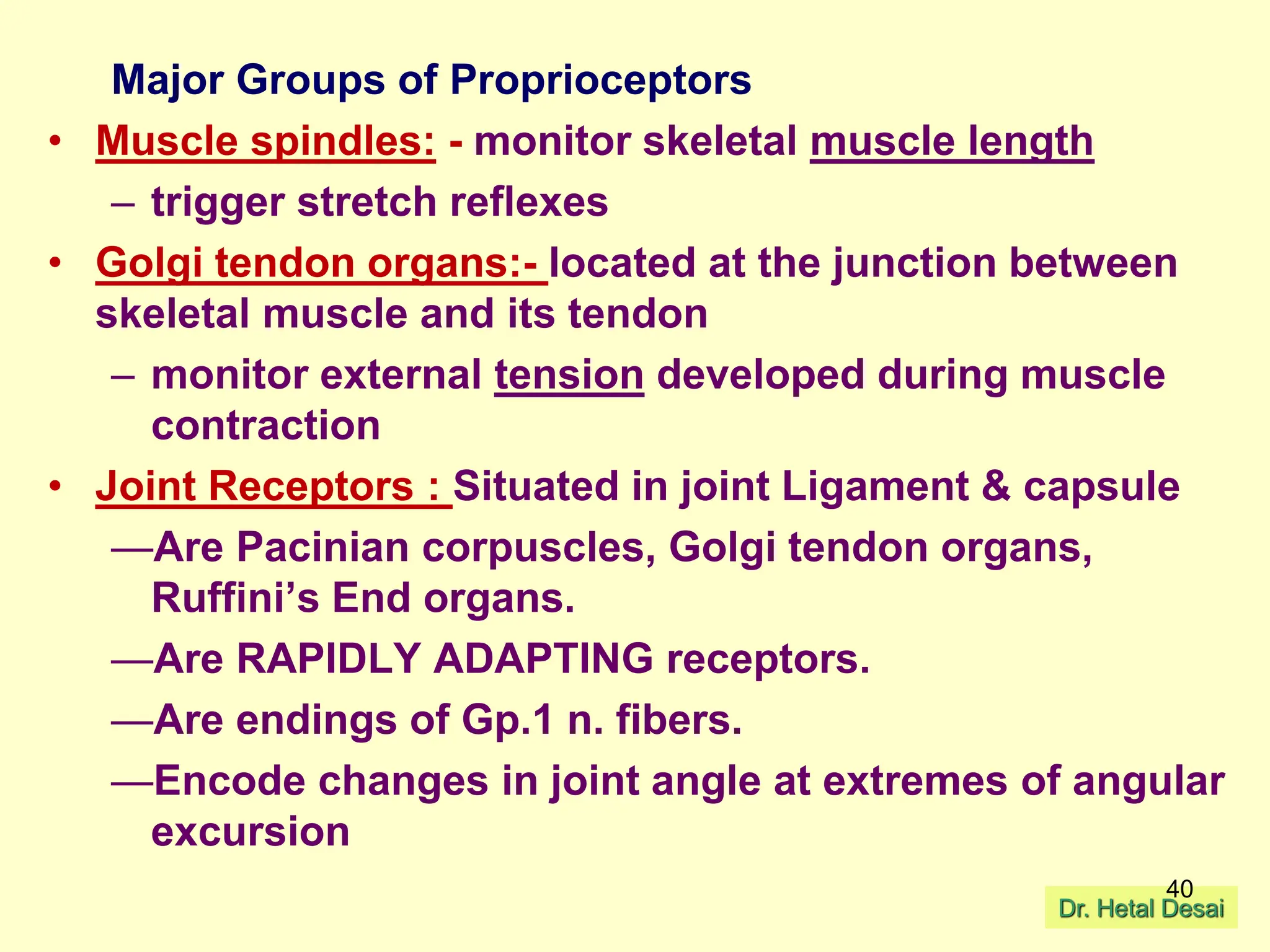 SENSORY RECEPTORS. Physiology , 1st year mbbs/bhms/etc | PDF