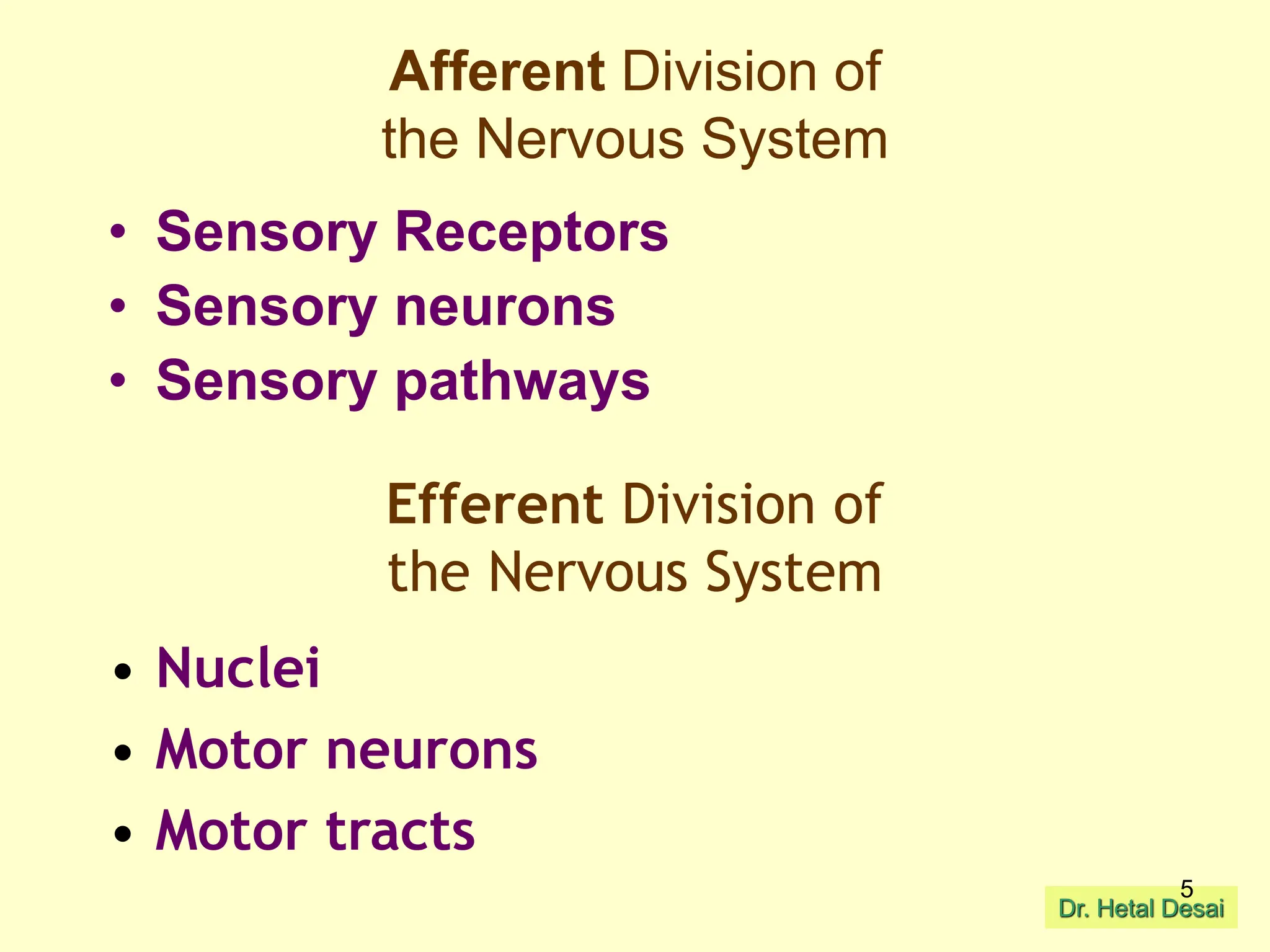 SENSORY RECEPTORS. Physiology , 1st year mbbs/bhms/etc | PDF