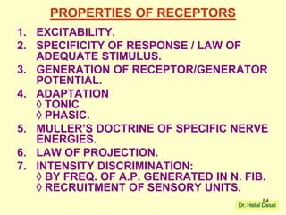 SENSORY RECEPTORS. Physiology , 1st year mbbs/bhms/etc | PDF