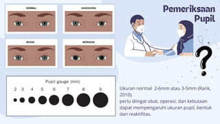 BNLS Conculssion for desiminasi rsud depok.pptx