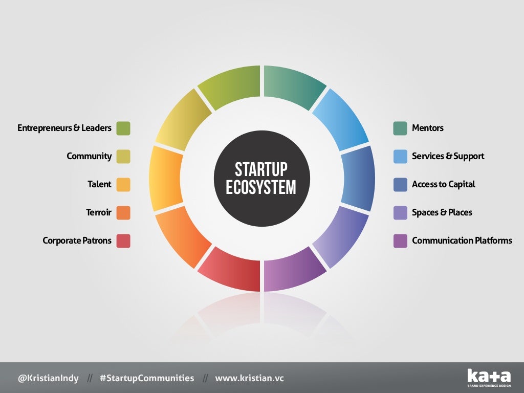 Anatomy of a Startup Ecosystem