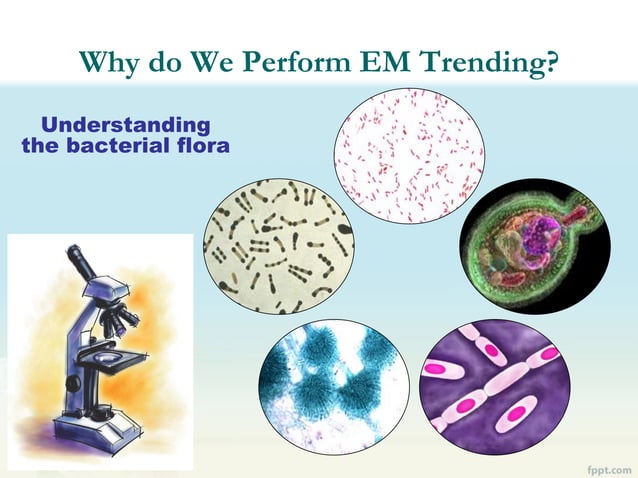 Effective Use of Environmental Monitoring Data Trending | PDF ...