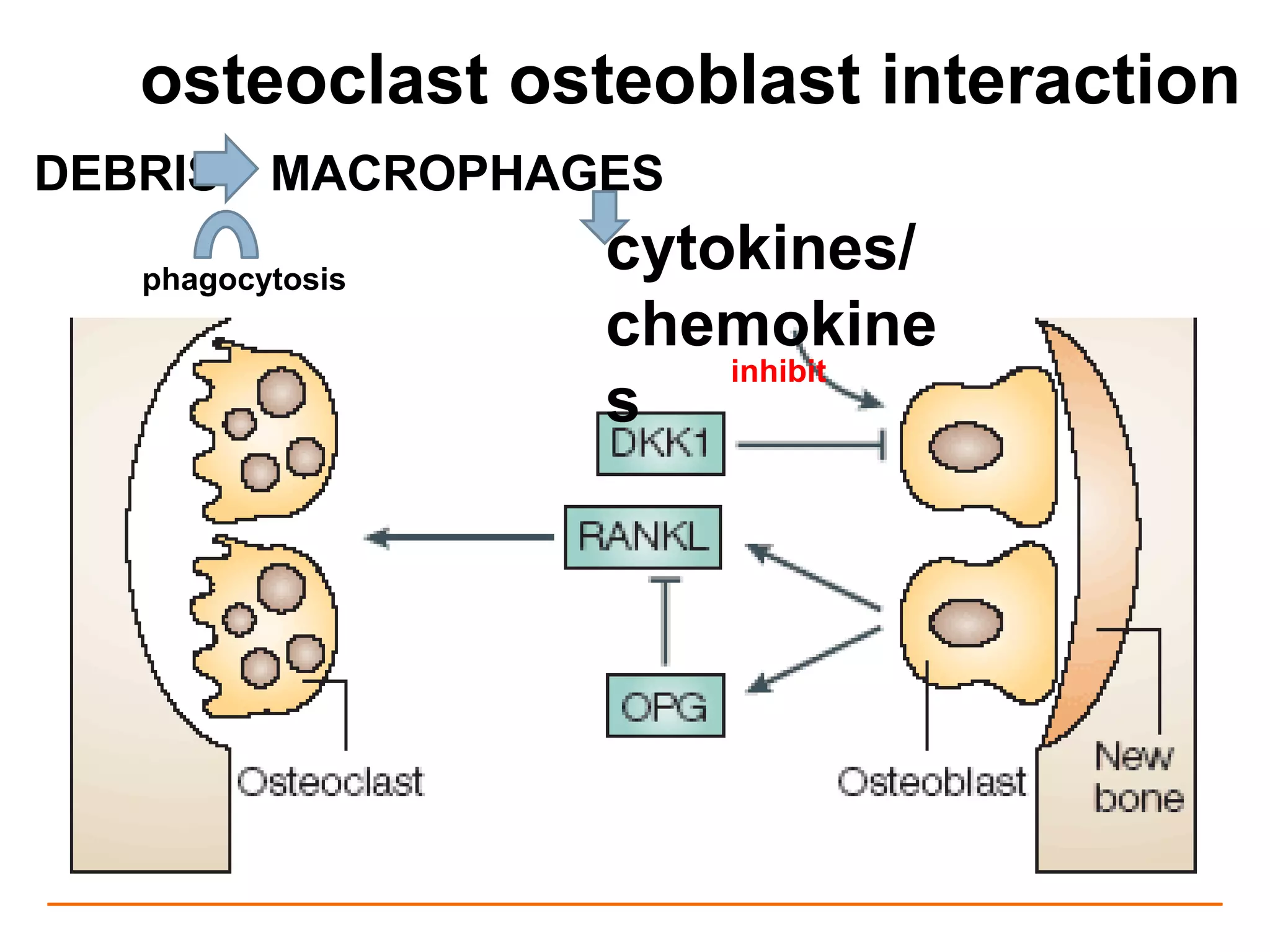 Aseptic loosening total hip arthroplasty | PPTX