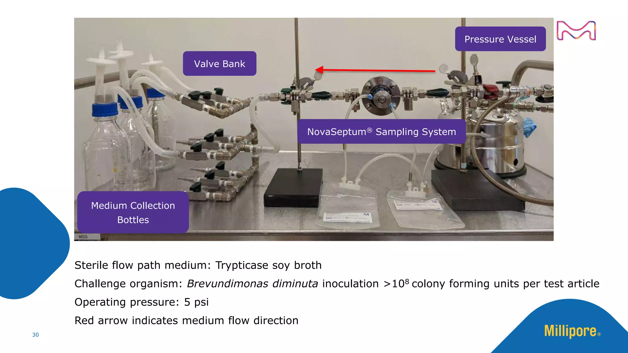 Aseptic Process Sampling to address Risk of Contamination & Containment ...