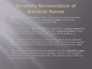 Using Aseptic Technique to identify the effect of antibiotics on 3 ...