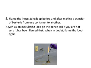 Aseptic technique | PPTX