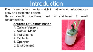 Aseptic techniques in Plant Tissue Culture | PPTX