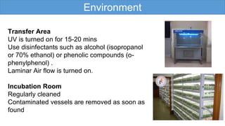 Aseptic techniques in Plant Tissue Culture | PPTX