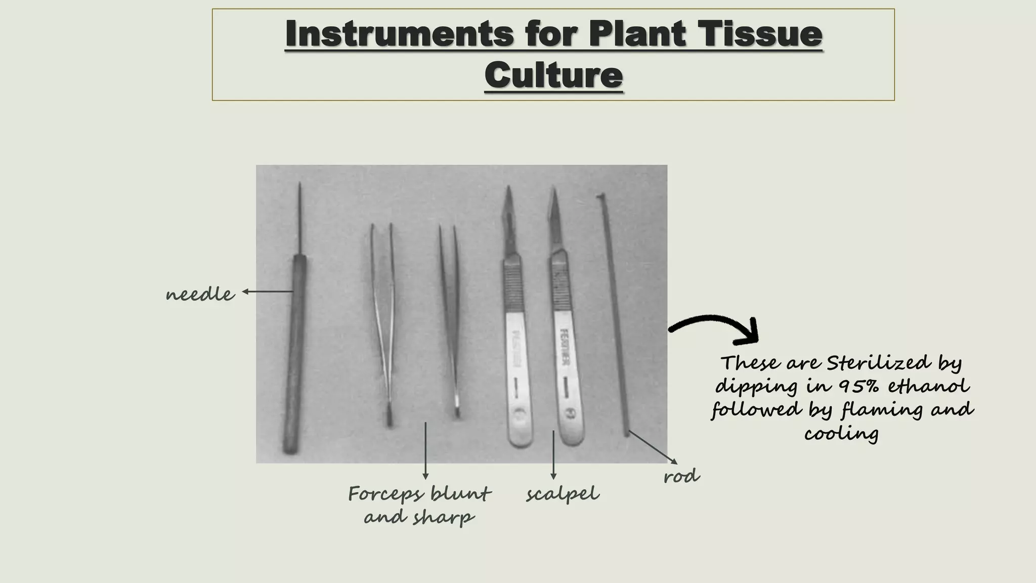 Aseptic Techniques. | PPTX