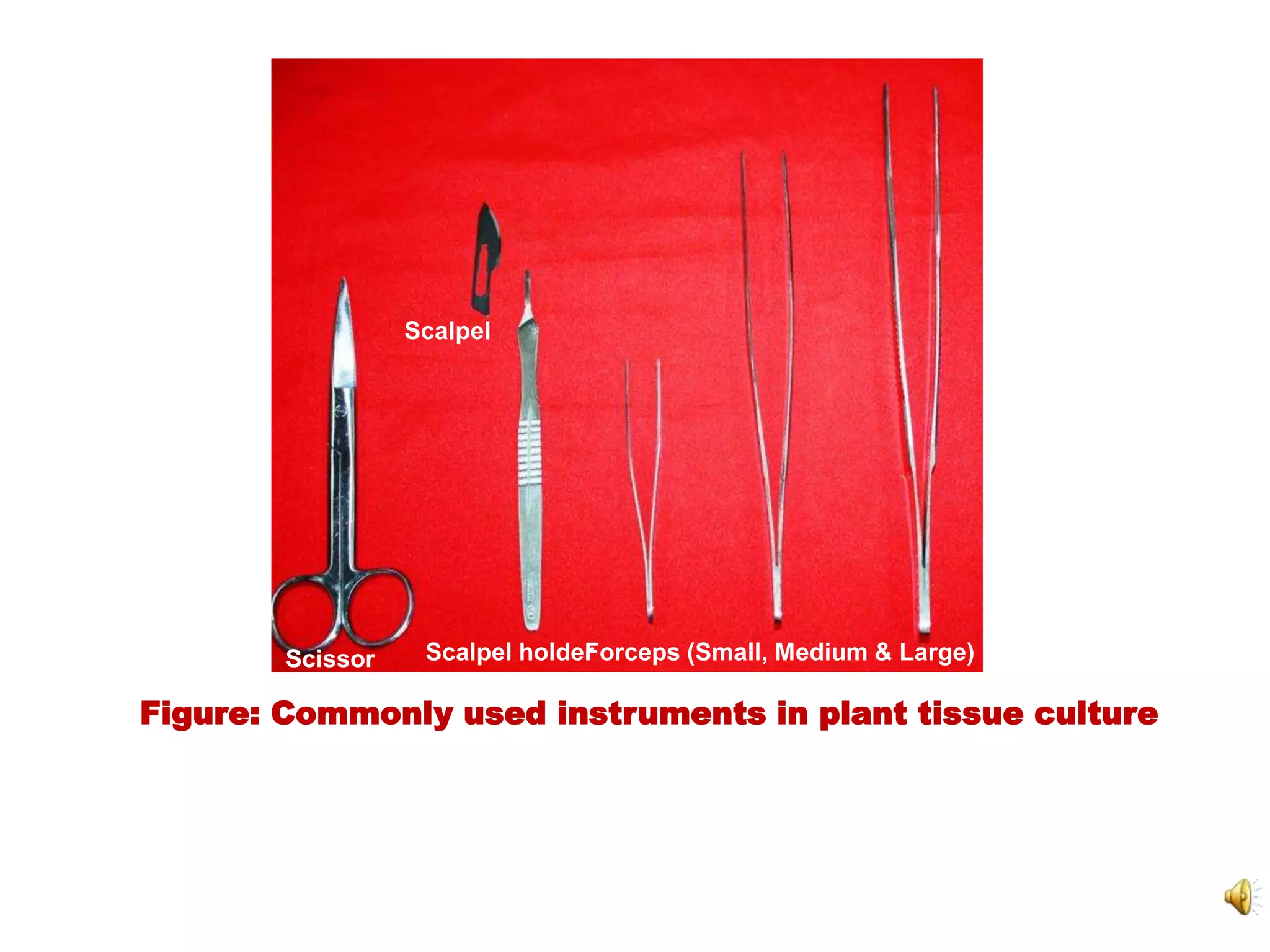 Aseptic techniques in plant tissue culture | PPT