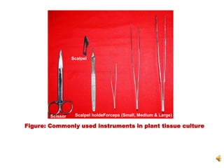 Aseptic techniques in plant tissue culture | PPT