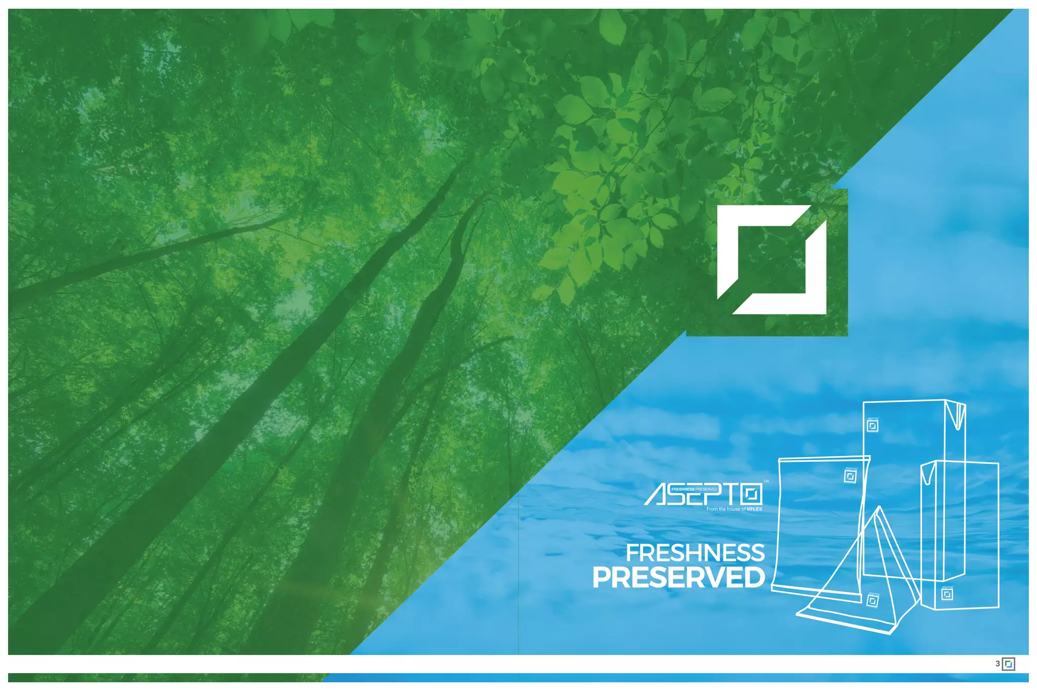 ASEPTO | Liquid Cartons for Aseptic Packaging | PDF