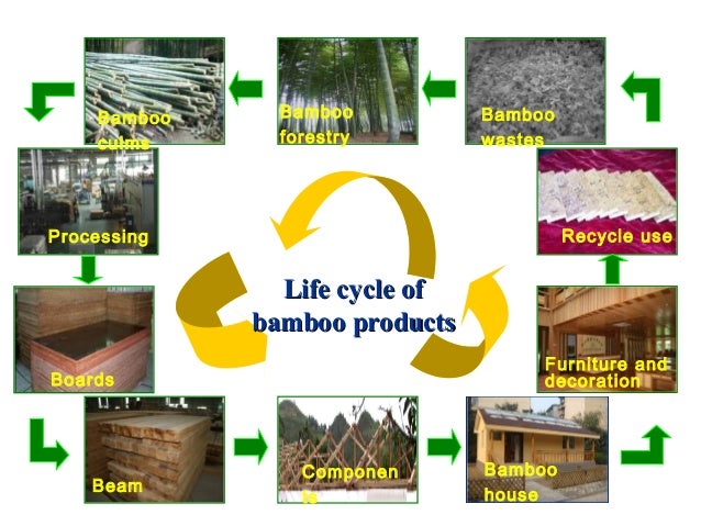 Assessing the Climate Mitigation Potential of managing Bamboo Resourc…