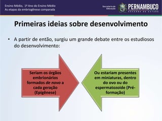 As etapas da embriogênese comparada mexido.ppt