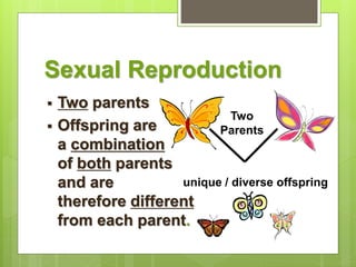 Asexual-and-Sexual-Reproduction.huhupptx | PPTX | Infertility ...