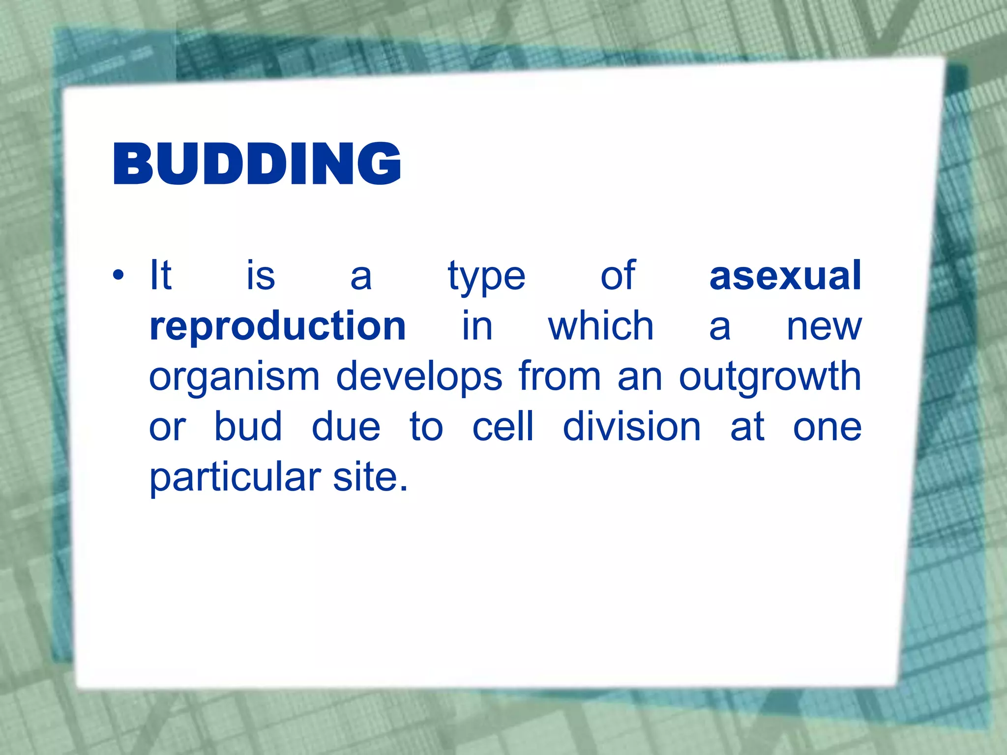 Asexual reproduction in animals | PPTX