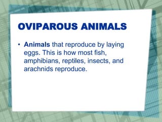 Asexual reproduction in animals | PPTX