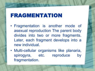 Asexual reproduction in animals | PPTX
