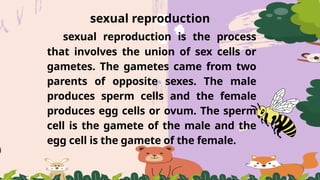 power presentation about asexual and sexual.pptx