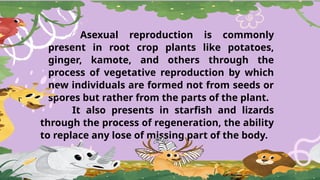 power presentation about asexual and sexual.pptx