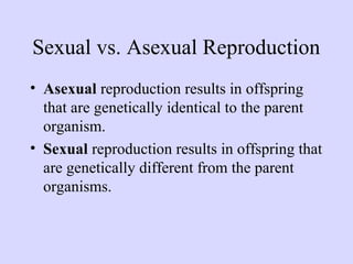 Asexual and sexual_reproduction | PPT