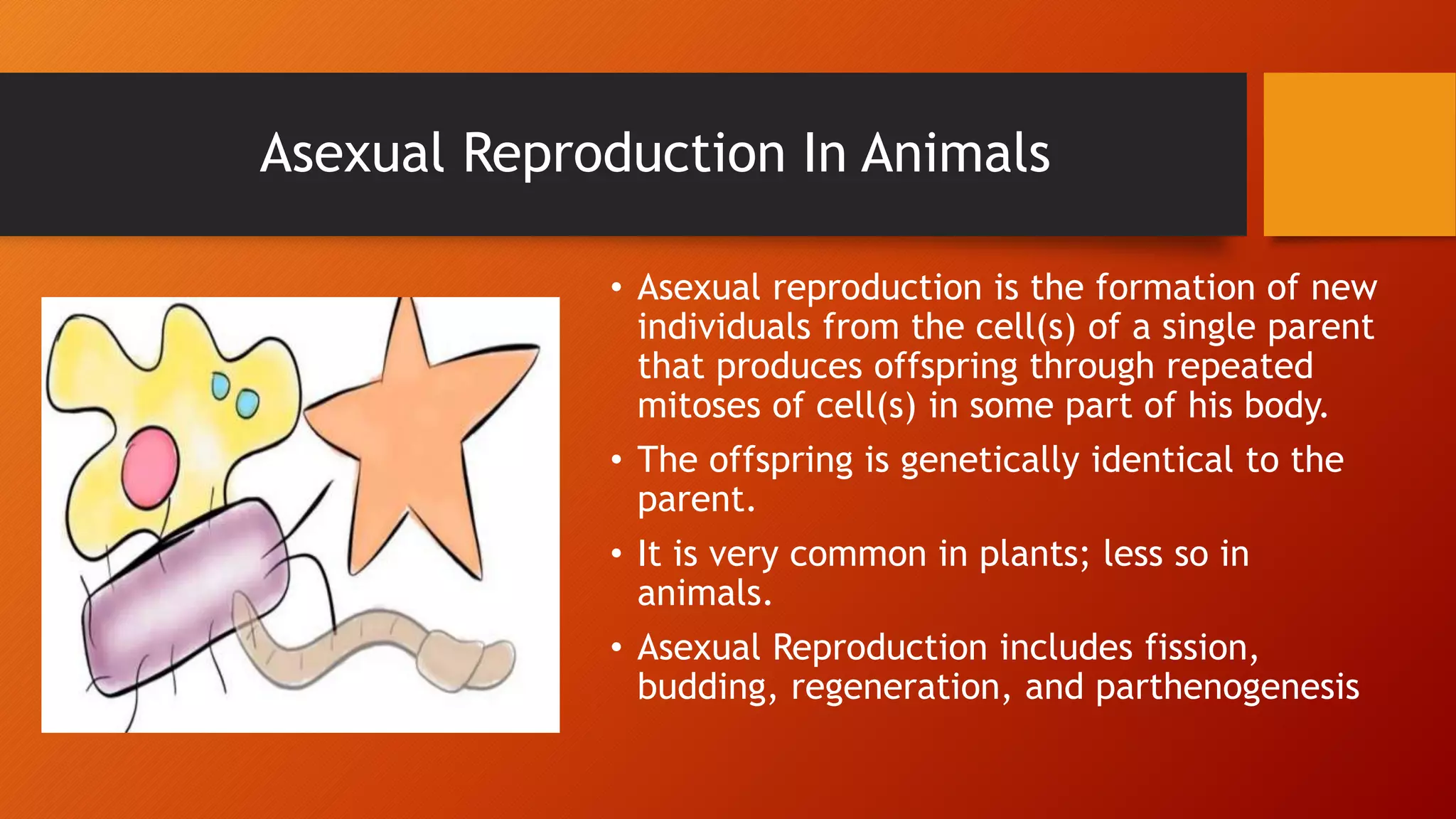 Asexual and sexual reproduction overview | PPTX