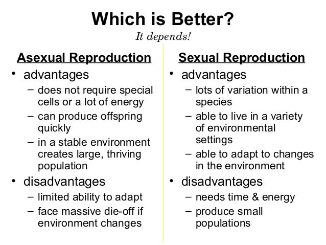 The Advantages And Disadvantages Of Asexual Reproduction Grade 9