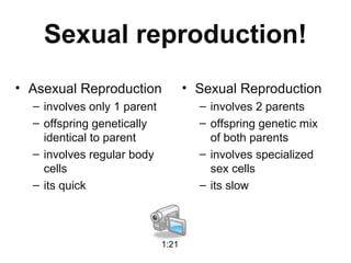 Asexual and sexual reproduction | PPT