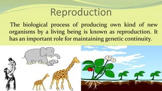 Asexual and sexual reproduction | PPTX