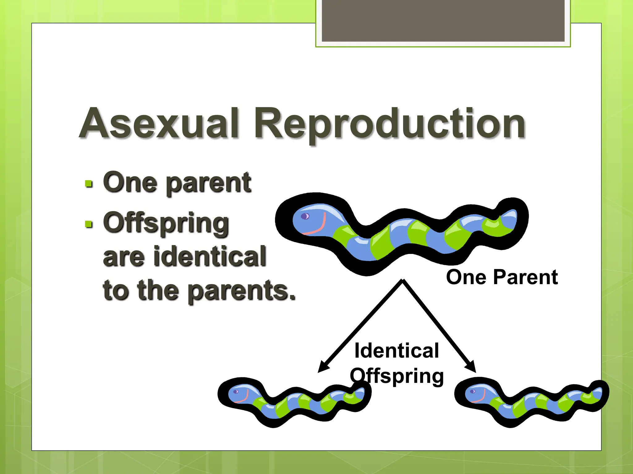 Asexual and Sexual Reproduction .ppt