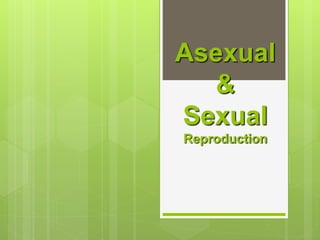Asexual and Sexual Reproduction .ppt