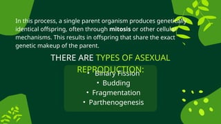 Asexual and Sexual Reproduction ELS pptx | PPT